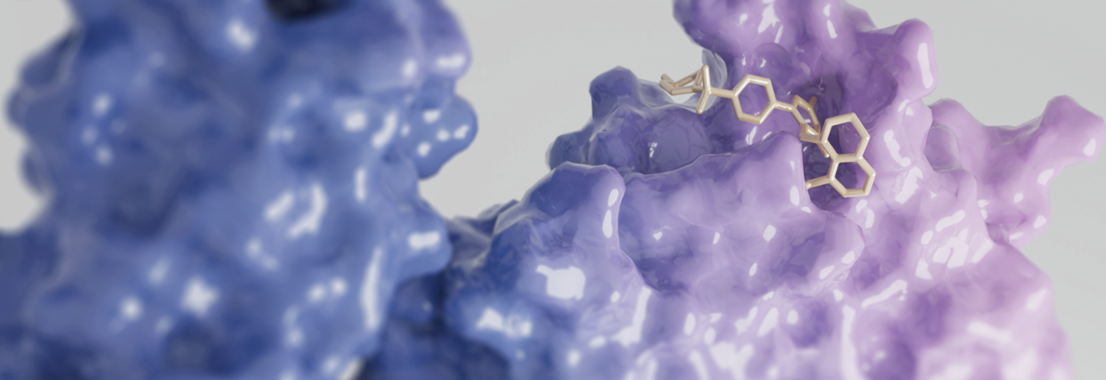 PLATFORM - Anew Therapeutics