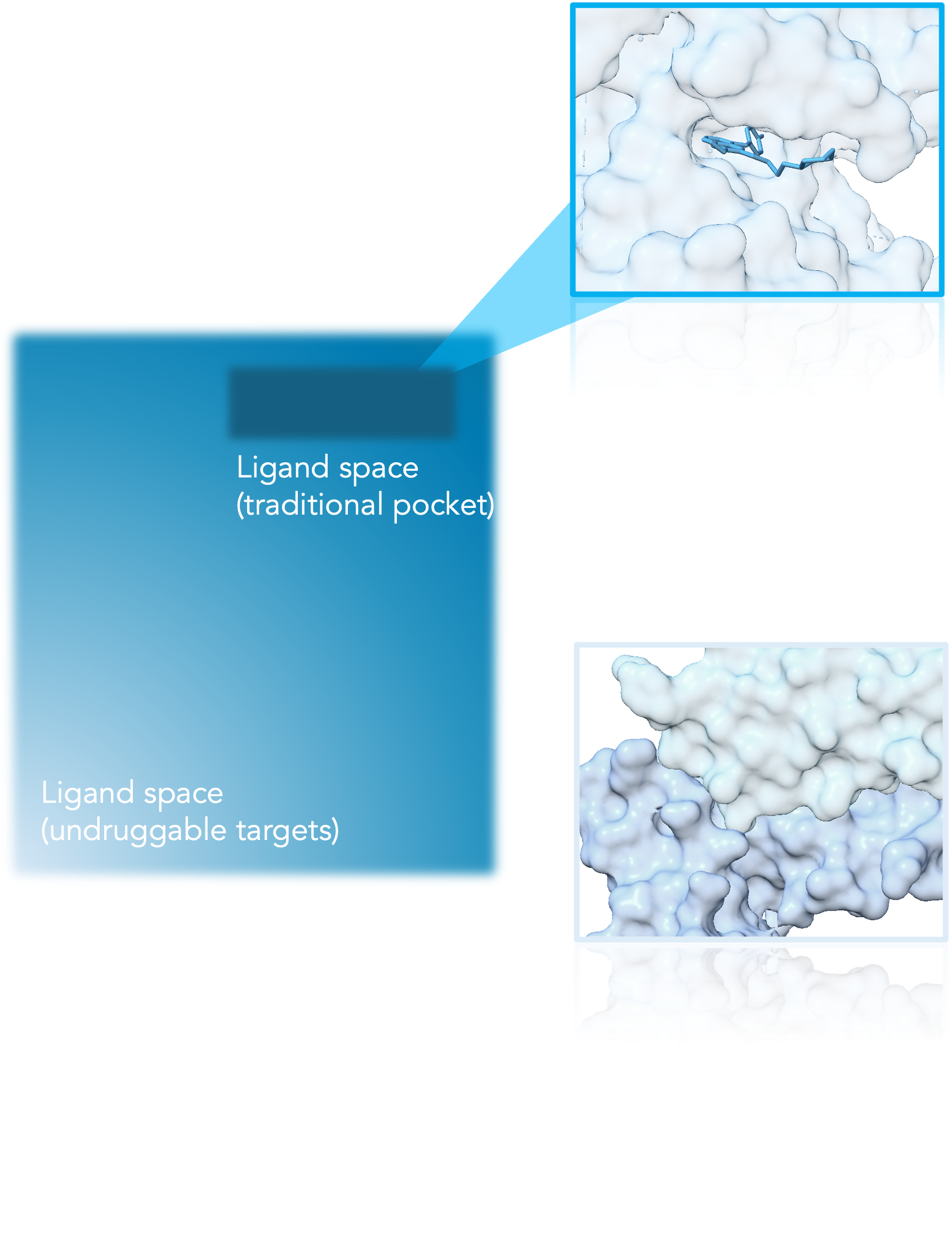 PLATFORM - Anew Therapeutics